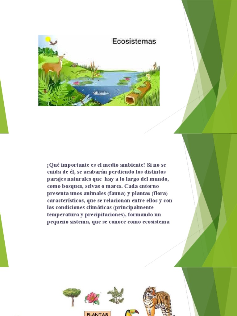 Biomas y ecosistemas del desierto | PDF | Desierto | Ecosistema