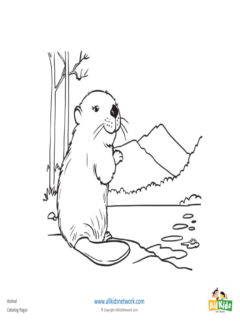 Beaver Coloring Page | PDF