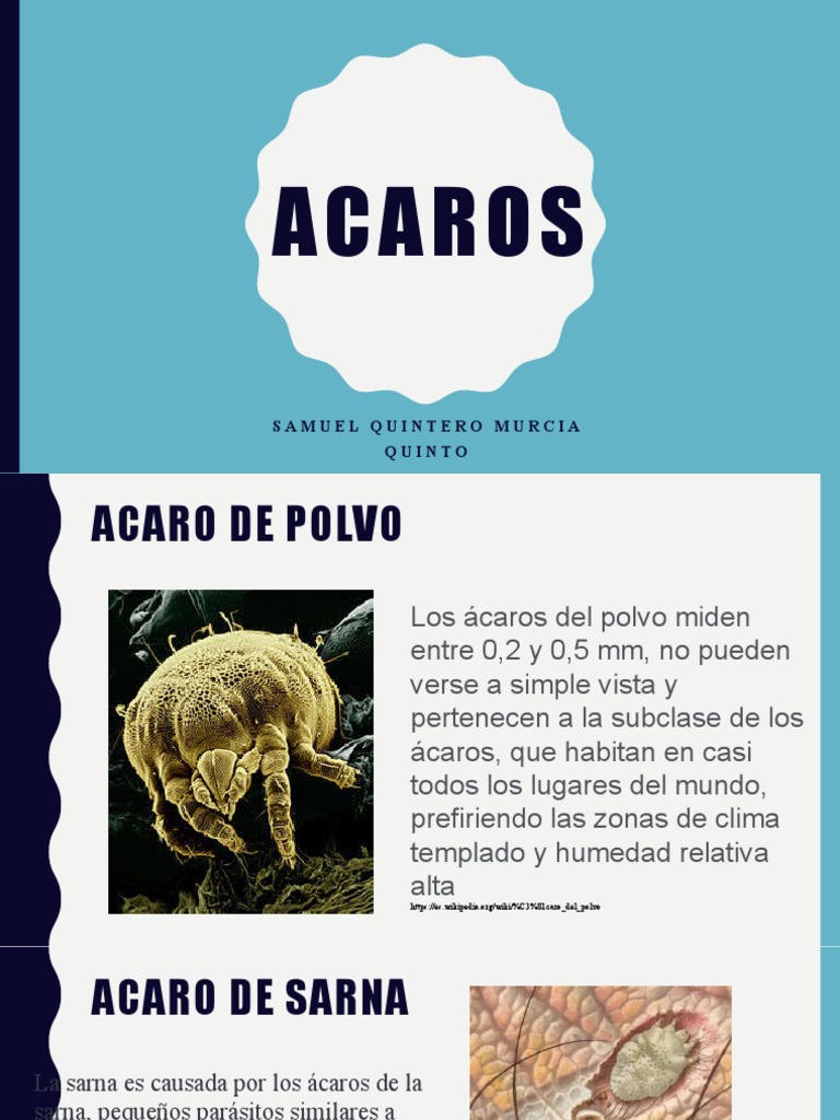 ACAROS | PDF