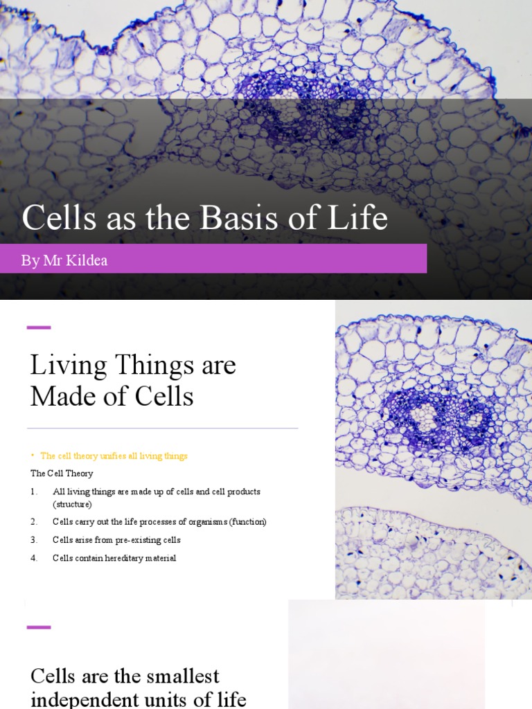 Cells As The Basis of Life 1 | PDF | Cell (Biology) | Cell Membrane