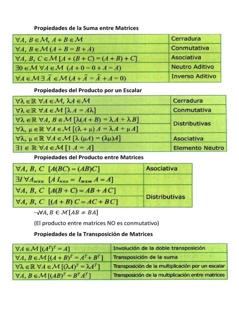 Propiedades de Las Matrices | PDF