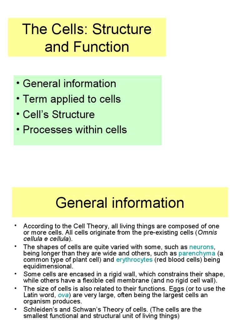 The Cells: Structure and Function | PDF | Cell (Biology) | Cell Membrane