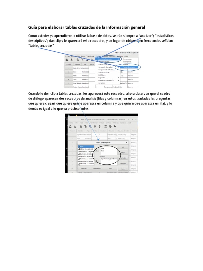 Guía para Elaborar Tablas Cruzadas | PDF