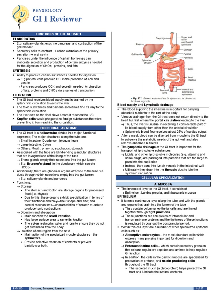 (PHYS) - GI I Reviewer | PDF | Gastrointestinal Tract | Saliva