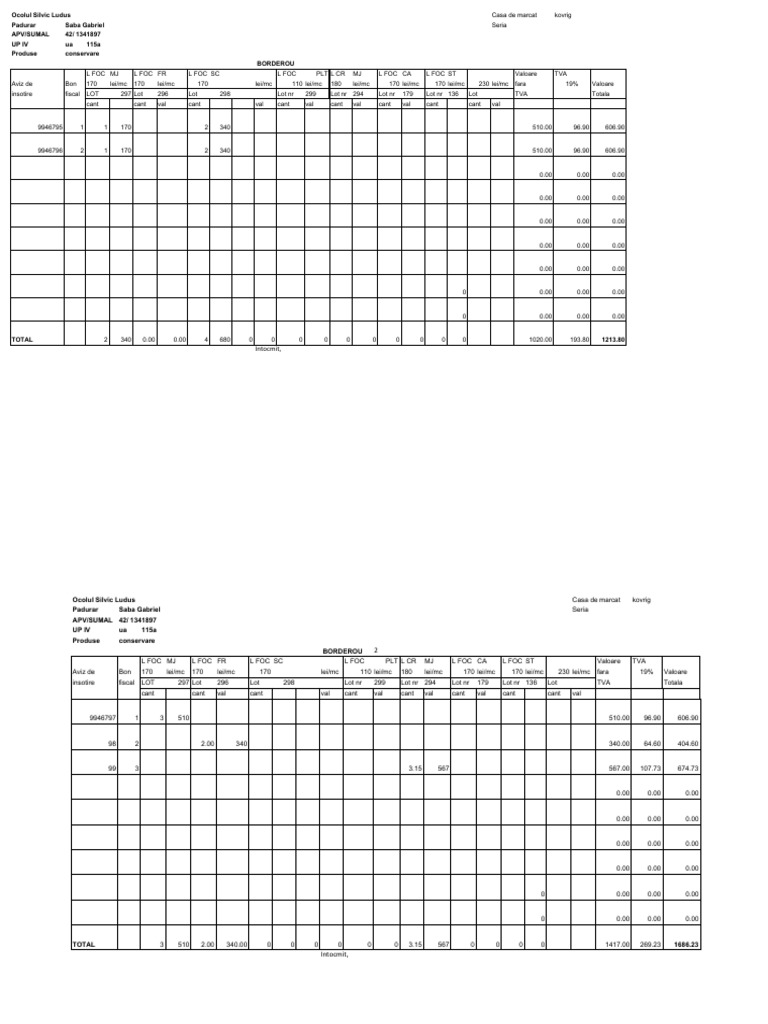 Borderou Partizi | PDF