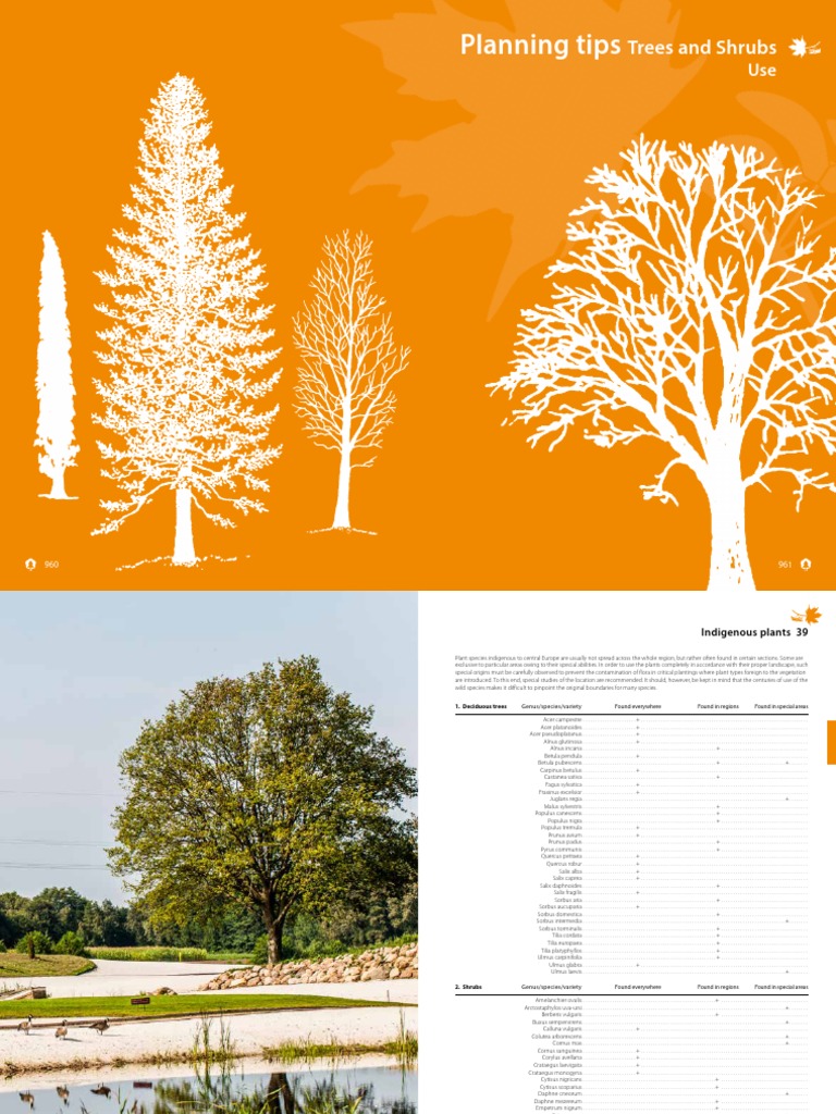 Distribution Patterns of Deciduous Tree Species Native to Central ...