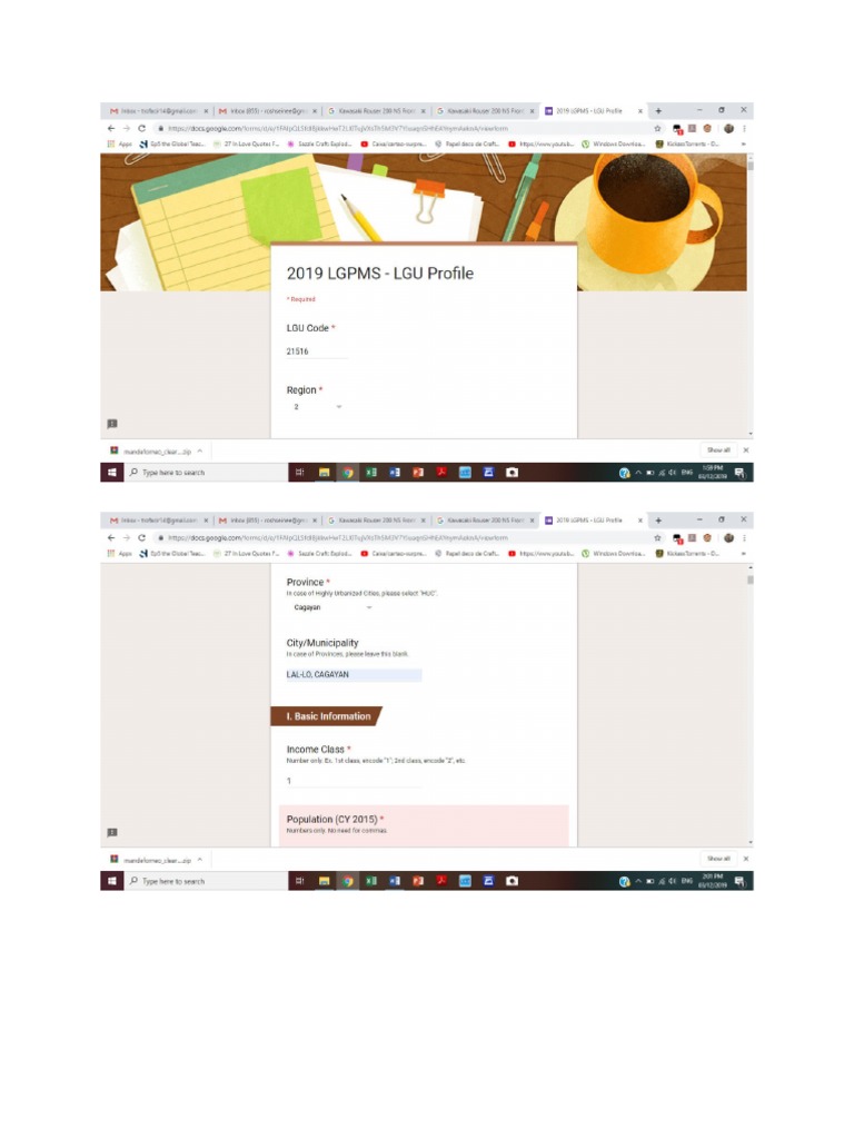 2019 LGPMS - LGU Profile | PDF