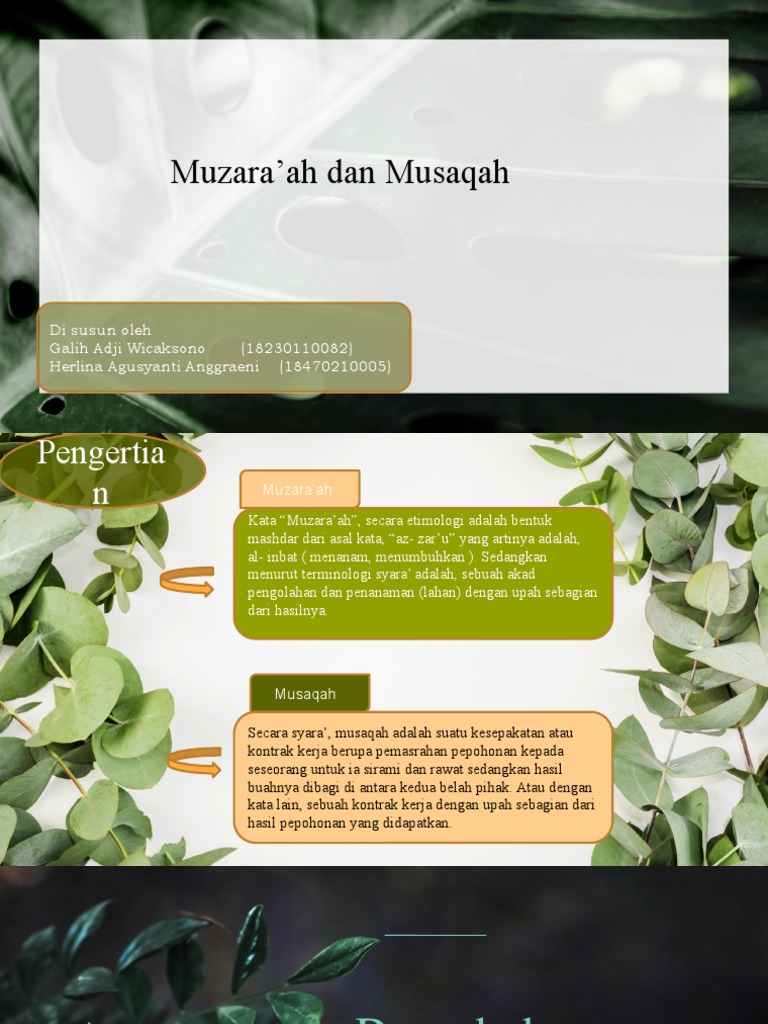 Hukum Muzara’ah dan Musaqah | PDF