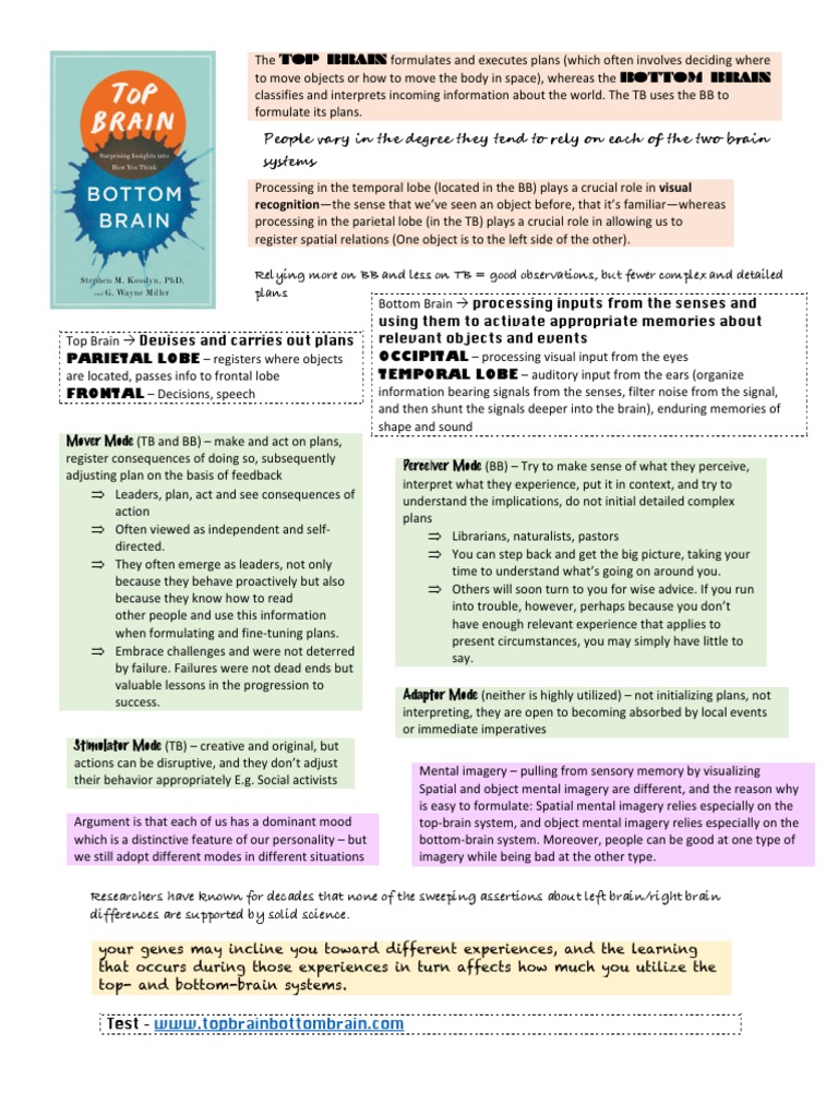 Top Brain Bottom Brain Cheat Sheet | PDF | Senses | Perception