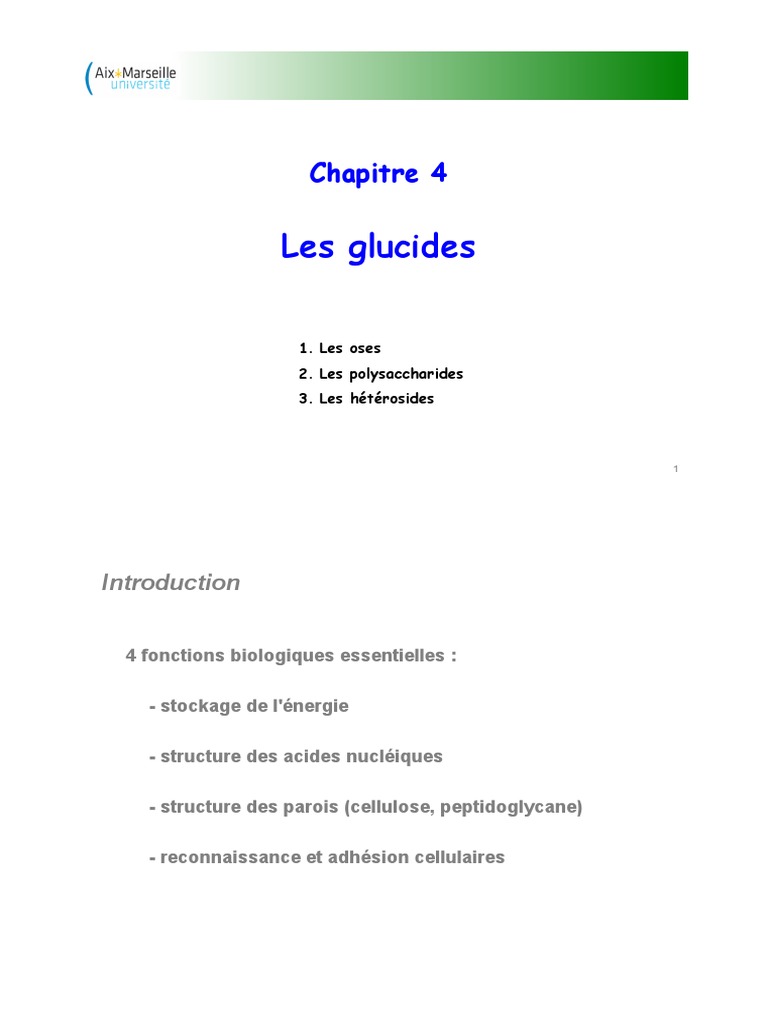 Glucides : Structures et Fonctions | PDF | Glucide | Glucose