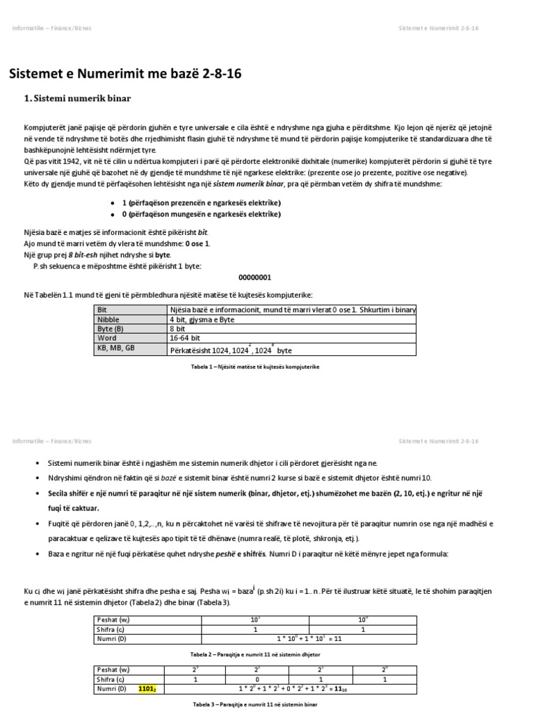 Informatike | PDF