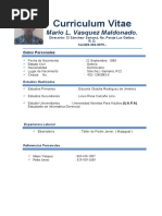 Curriculum Vitae Jaime | PDF
