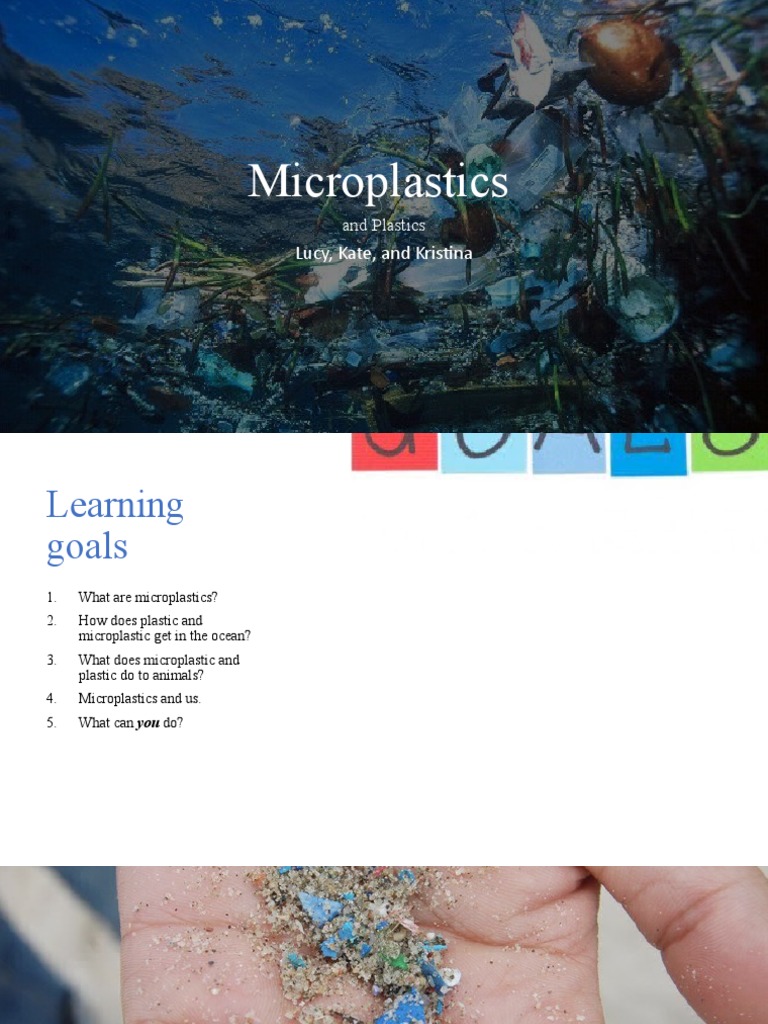 Microplastics: Lucy, Kate, and Kristina | PDF | Sea Turtle | Water