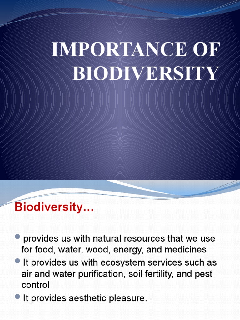 Importance of Biodiversity | PDF | Invasive Species | Biodiversity