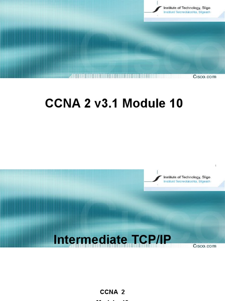 CCNA 2 Module 10 | PDF | Transmission Control Protocol | Port (Computer ...
