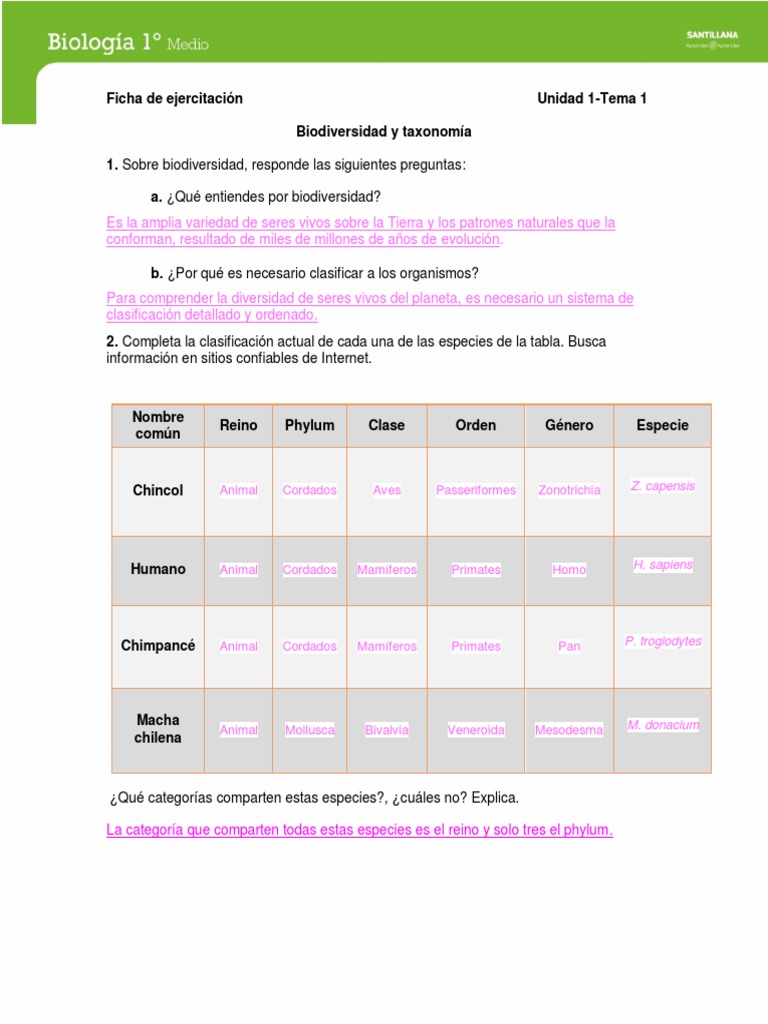Taxonomia Ficha de Ejercicio Solucion | PDF | Filogenética | Proteínas
