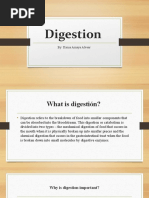 The Journey of A Cheese Sandwich! | PDF | Digestion | Digestive System
