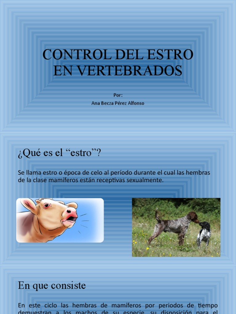 Control Del Estro en Vertebrados | PDF
