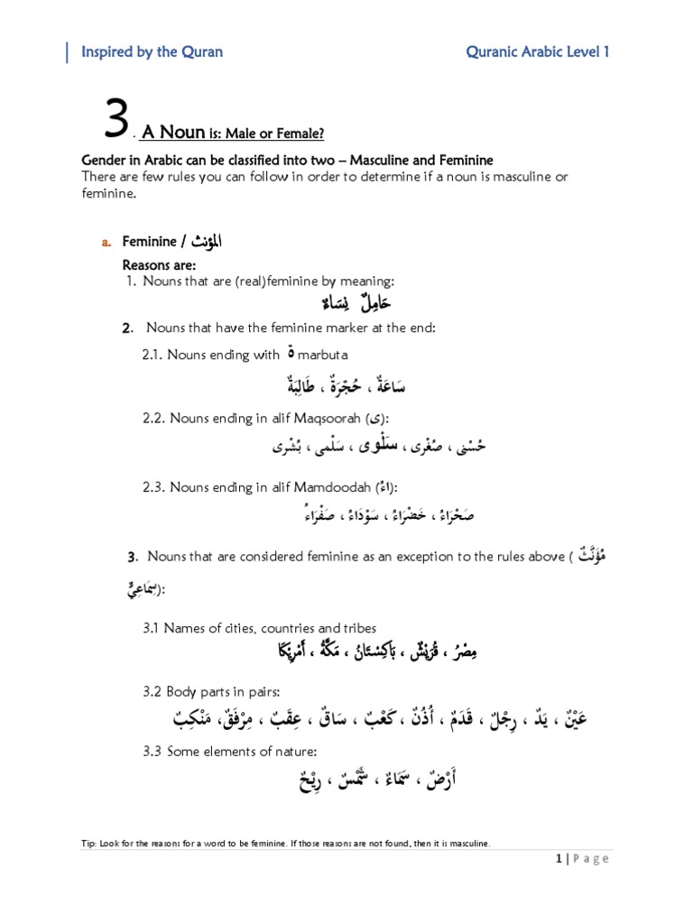 A Noun: Inspired by The Quran Quranic Arabic Level 1 | PDF | Scientific ...