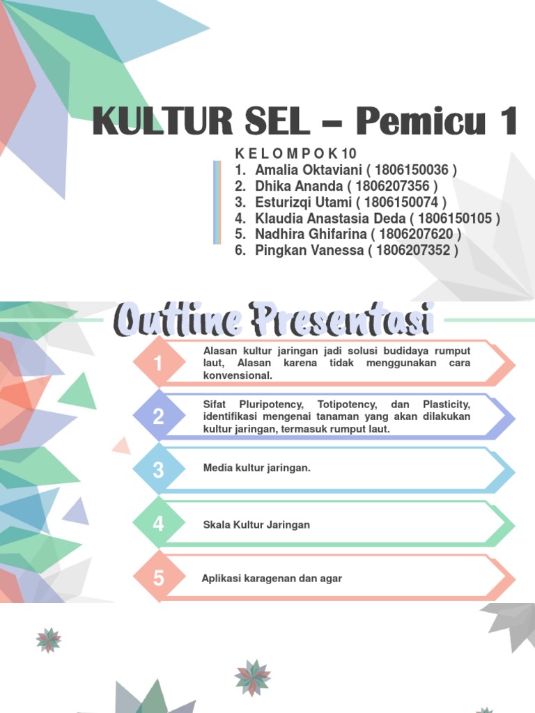 Kultur Sel Tumbuhan | PDF