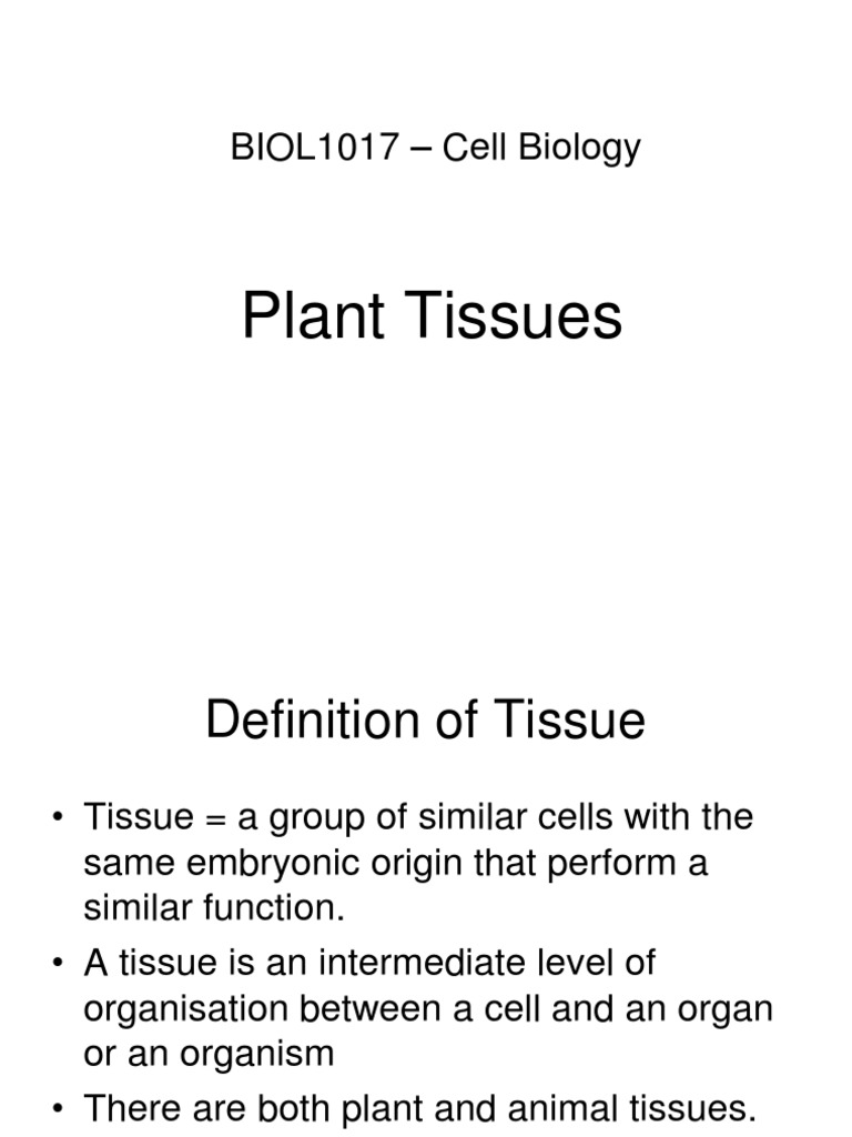 Appendix I - Plant Tissues | PDF | Tissue (Biology) | Leaf
