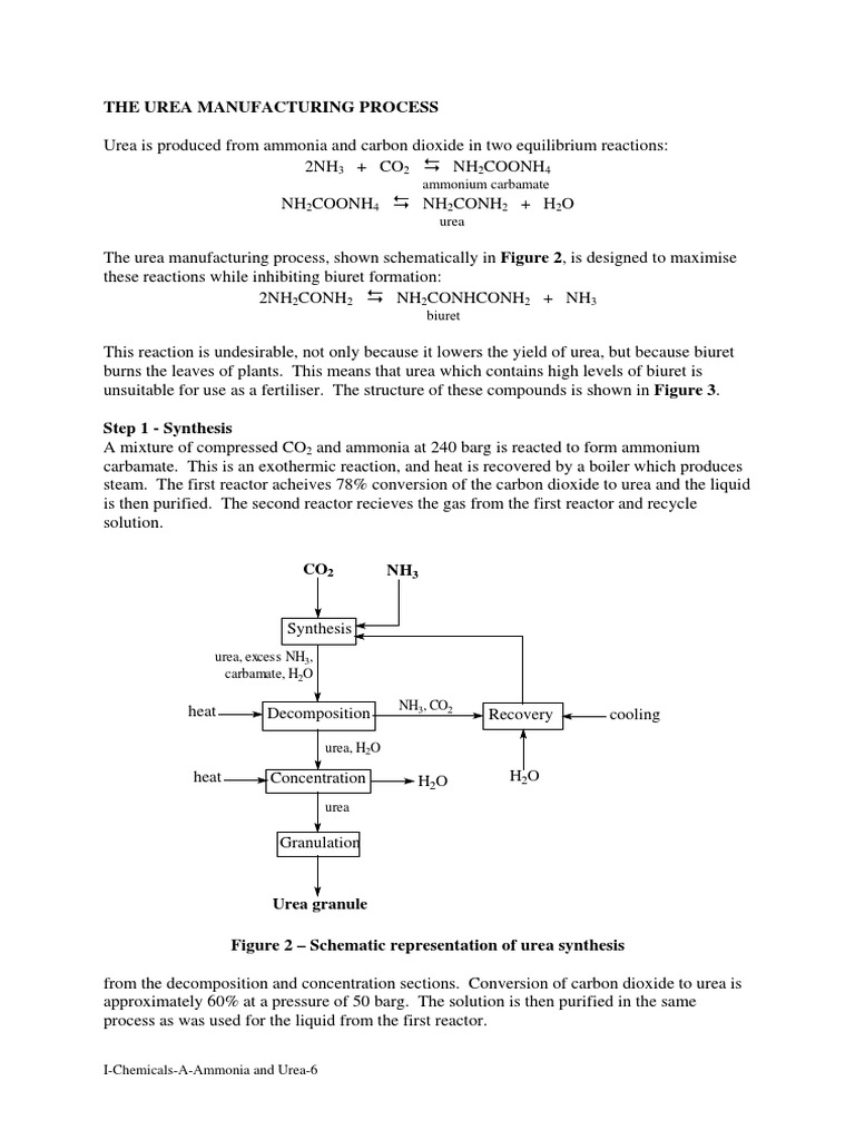 Urea Process | PDF | Urea | Ammonia