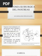 Anatomía y Fisiología Anorrectal | PDF | Recto | Sistema digestivo
