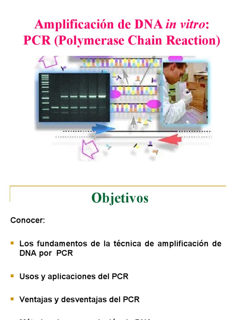 PCR Reacción de La Cadena de Polimerasa | PDF | Reacción en cadena de ...