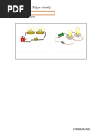 Animal Identification Key Worksheet | PDF | Organisms | Nature