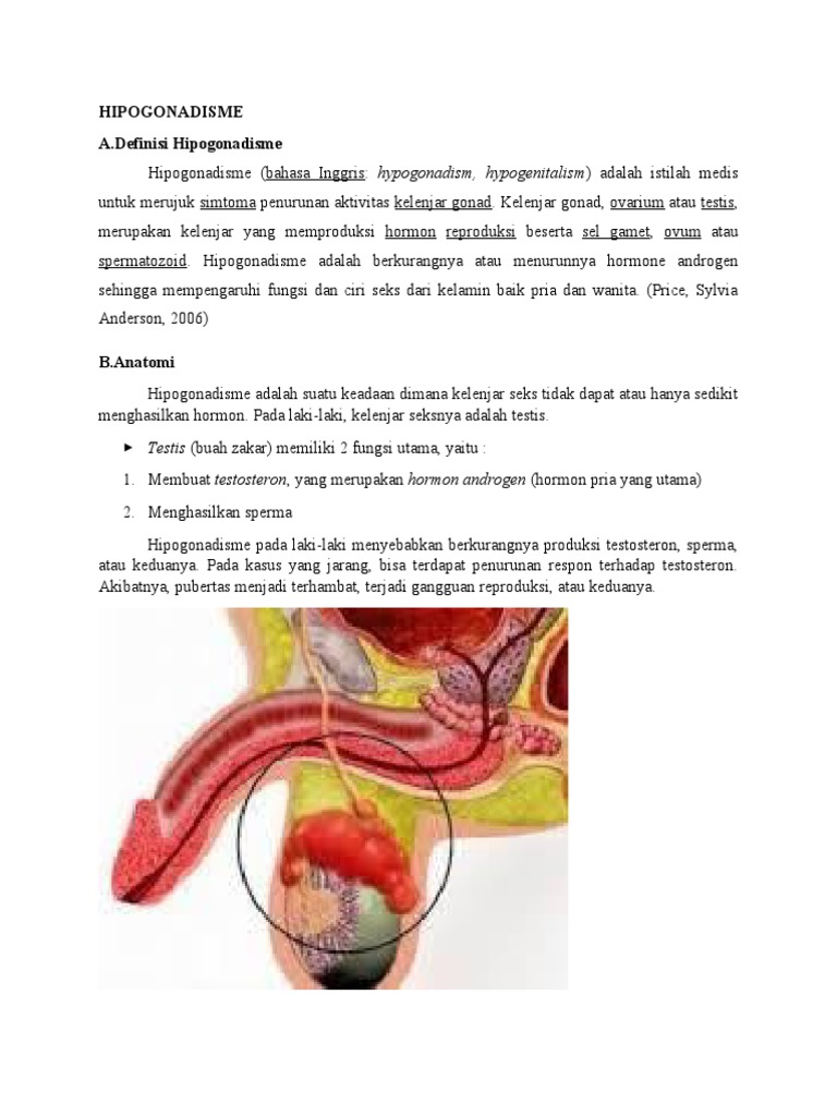 Kriptorkidisme Tugas Rahman | PDF | Sains & Matematika