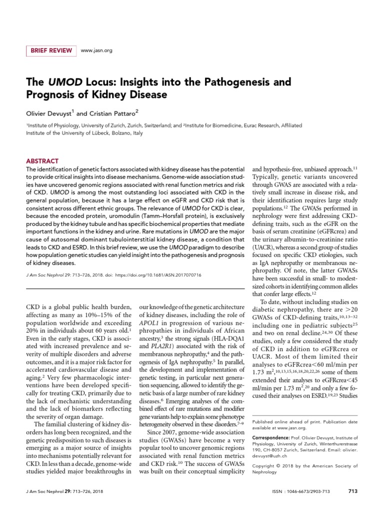 The UMOD Locus: Insights Into The Pathogenesis and Prognosis of Kidney ...