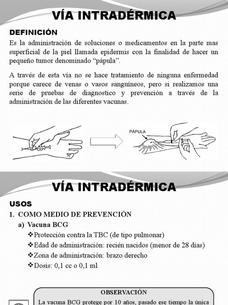Via Intradermica | PDF | Tuberculosis | Medicina