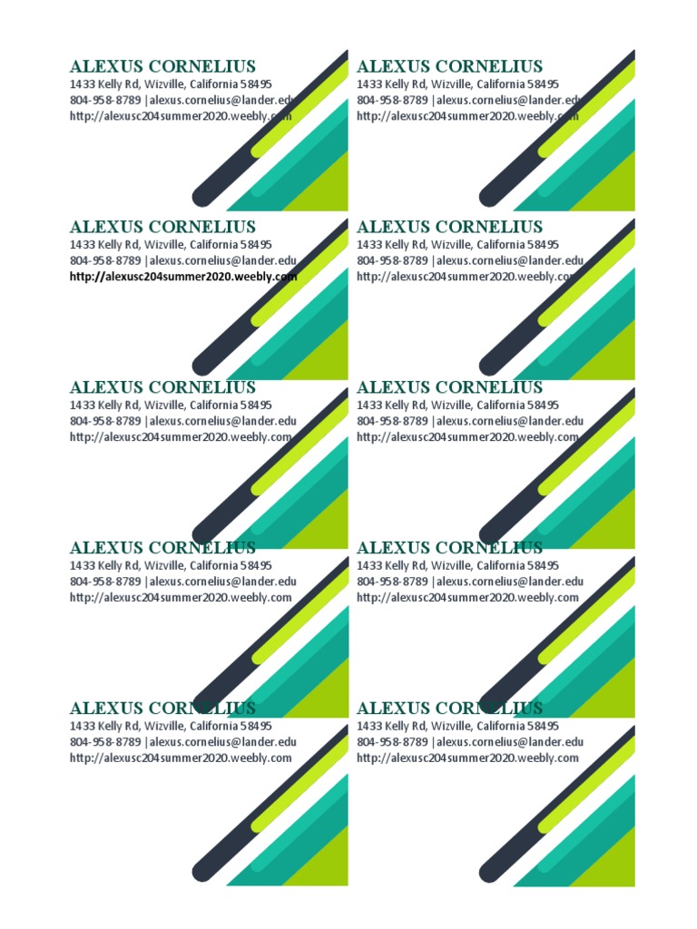 Business Card | PDF