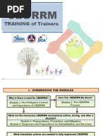 National Disaster Risk Reduction and Management Plan (NDRRMP) 2020 ...