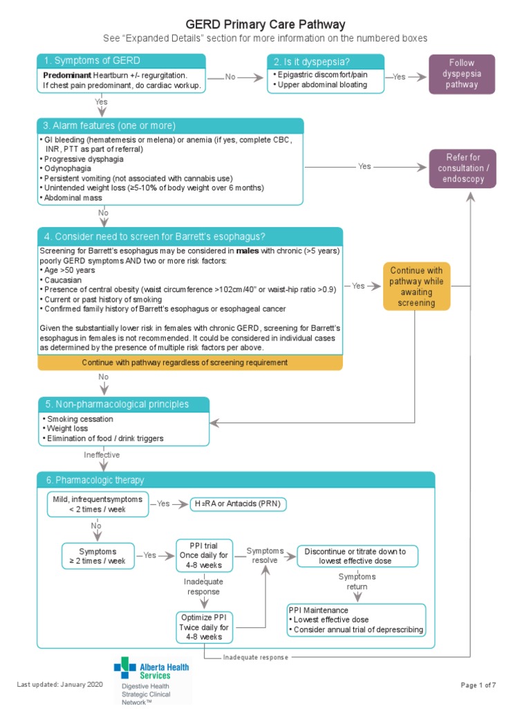 Algorithm GERD Primary Care Pathway Ahs SCN DH 2020 15262 | PDF ...