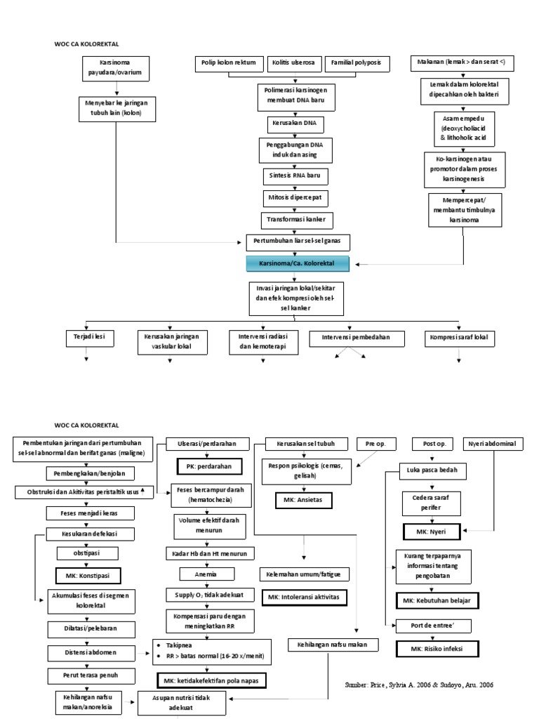 Woc Ca Kolorektal | PDF