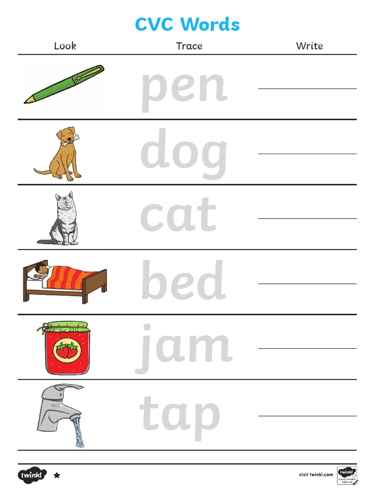 T L 9229 CVC CCVC and CVCC Activity Sheet - Ver - 2 PDF | PDF