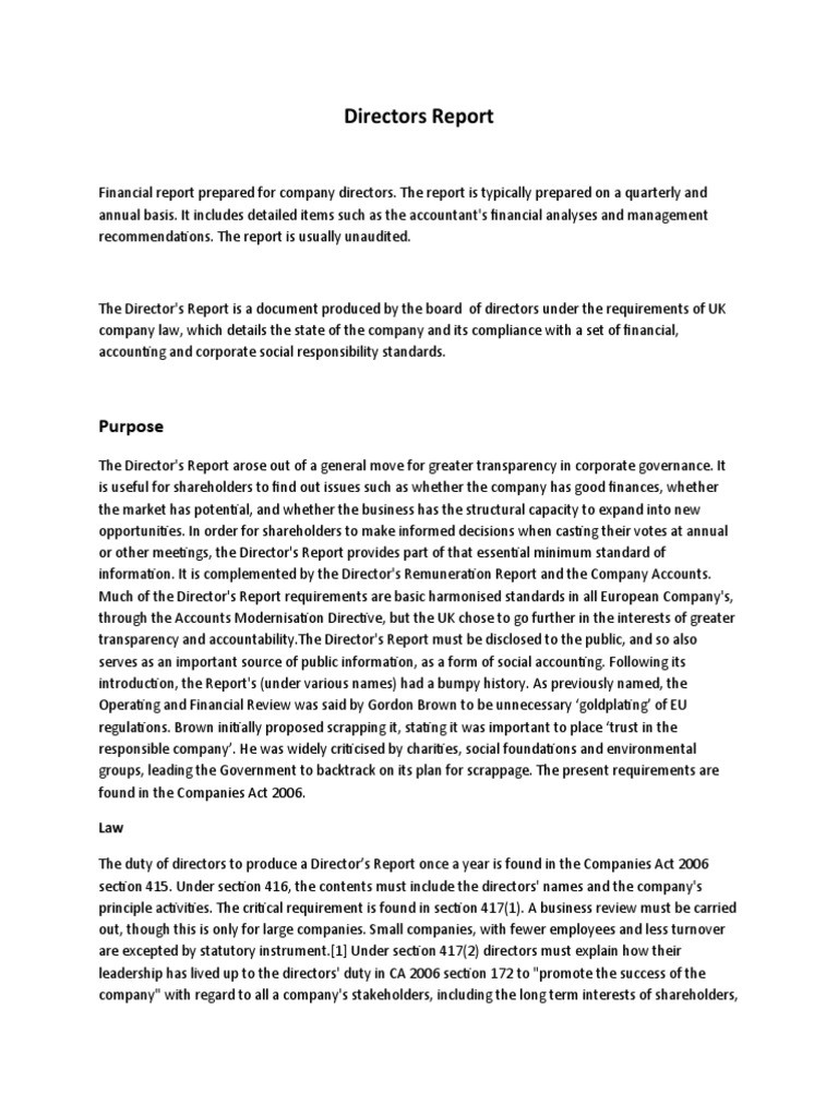 Directors Report | PDF | Financial Statement | Business