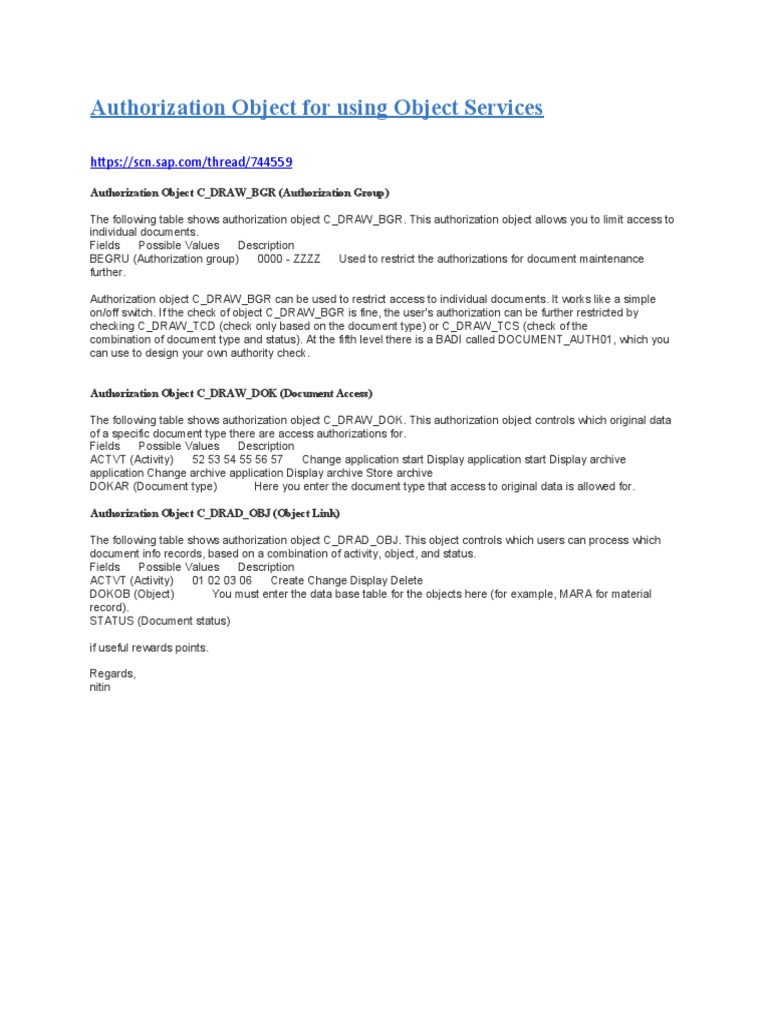 Authorization Object For Using Object Services | PDF