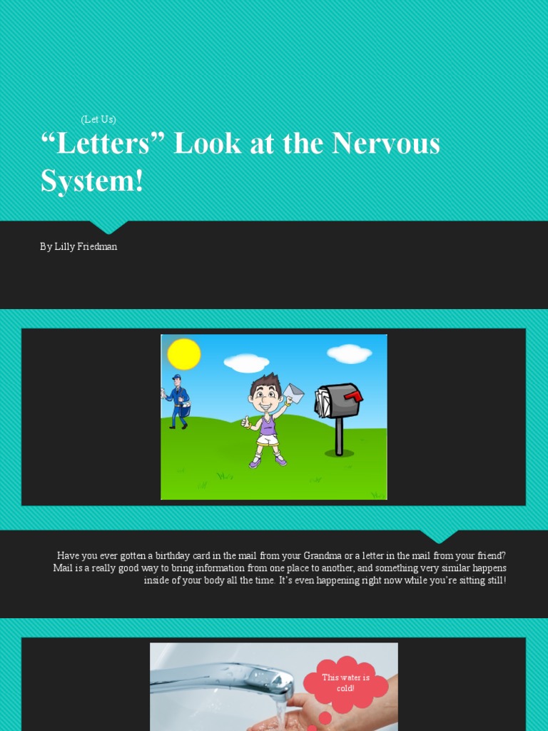 Anatomy Final Project | PDF | Neuron | Axon