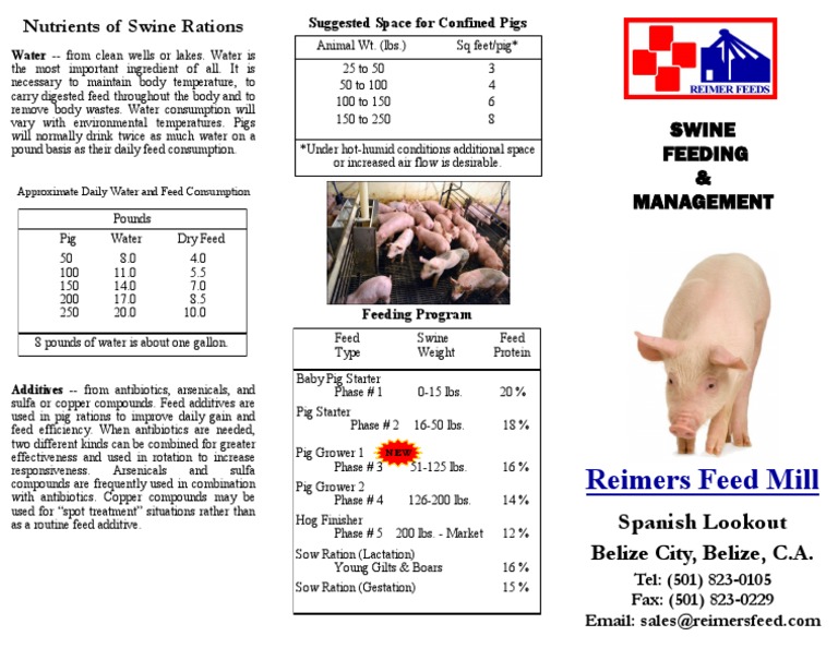 Feeding Management 5 PDF | PDF | Domestic Pig | Pig