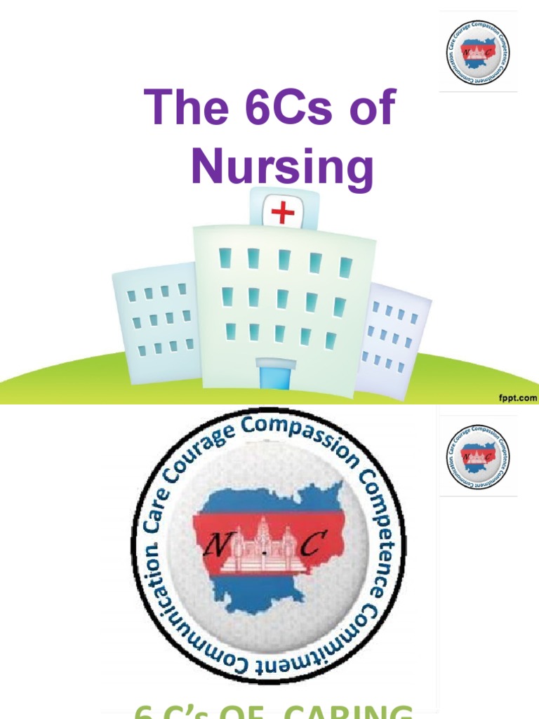 Understanding the 6 Cs of Nursing | PDF