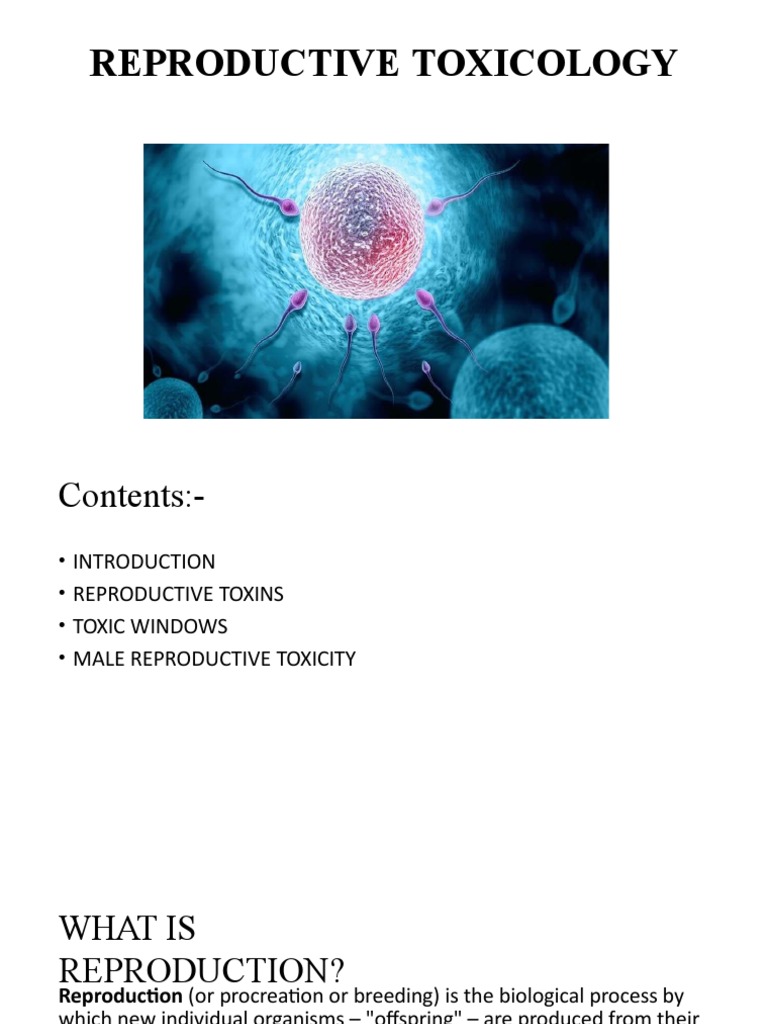 Reproductive Toxicology Guide | PDF | Epigenetics | Reproduction