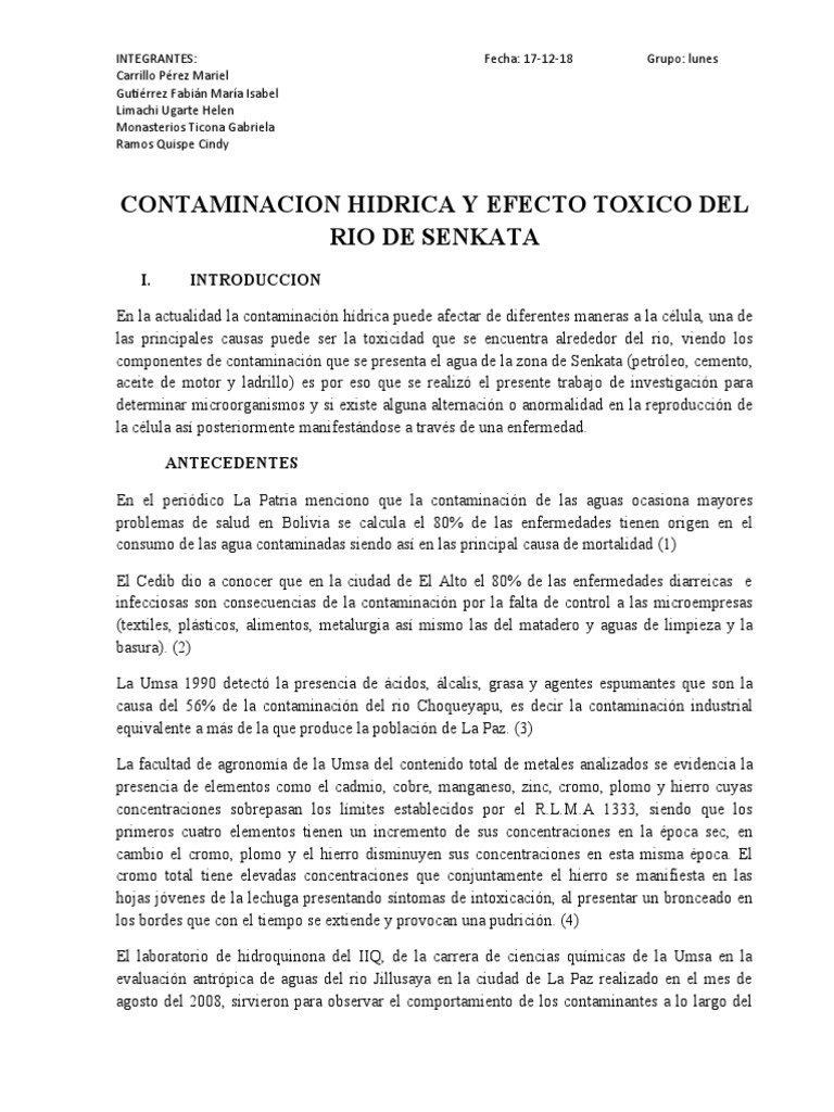 Informe Final Hito 5 | PDF | Mitosis | Cromosoma