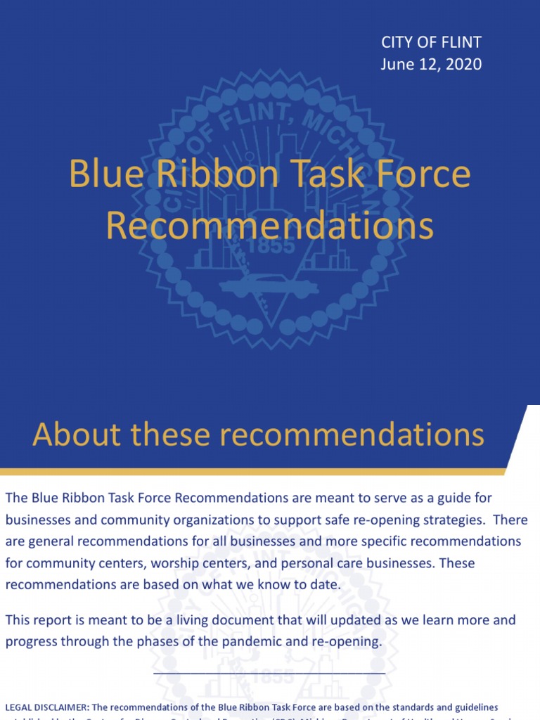 Blue Ribbon Task Force Recommendations 6-12-2020 | PDF | Flint ...