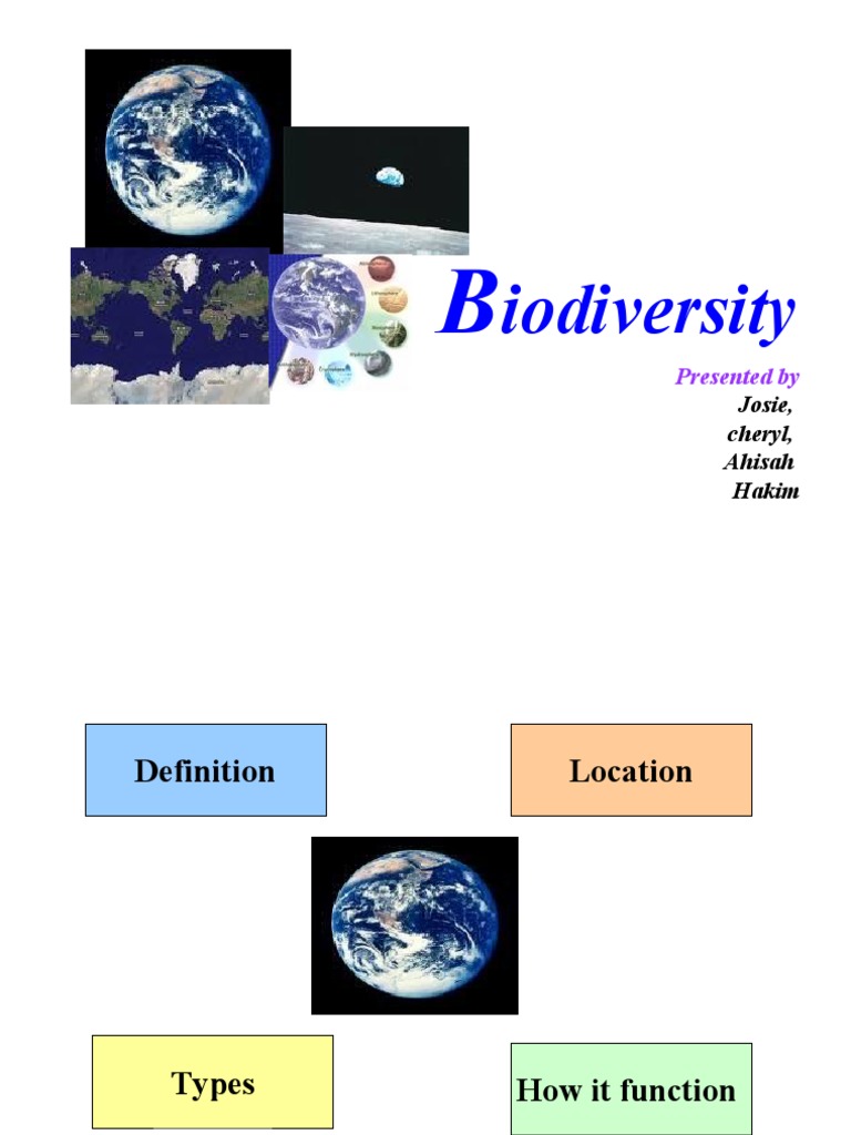 Understanding Biodiversity Types | PDF