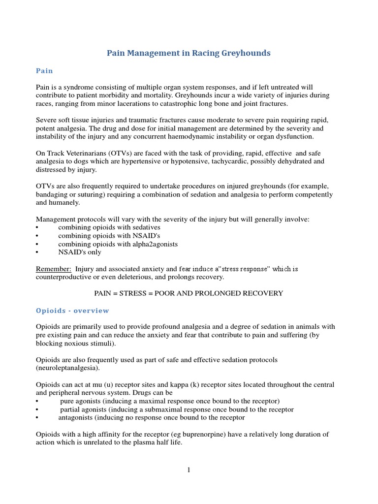 Greyhounds Pain Management | PDF | Analgesic | Opioid