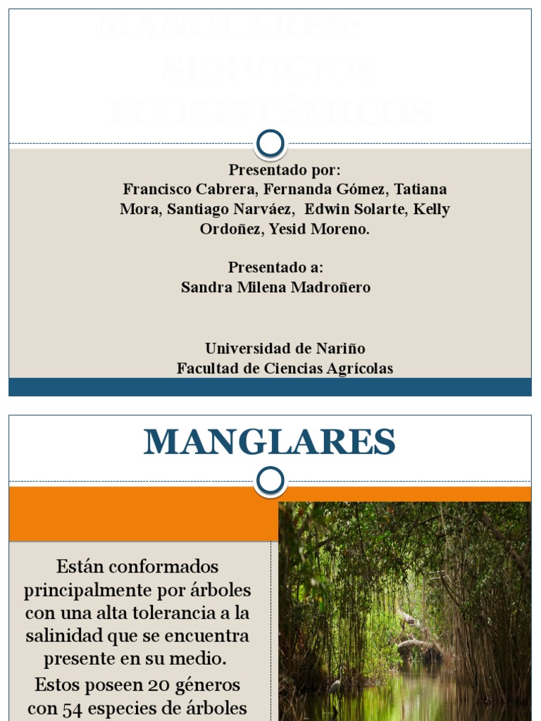 MANGLAR | PDF | Mangle | Los bosques