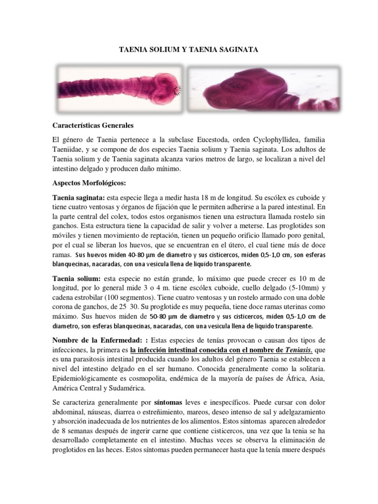 Taenias Solium y Saginata | PDF | Inmunología | Medicina Veterinaria