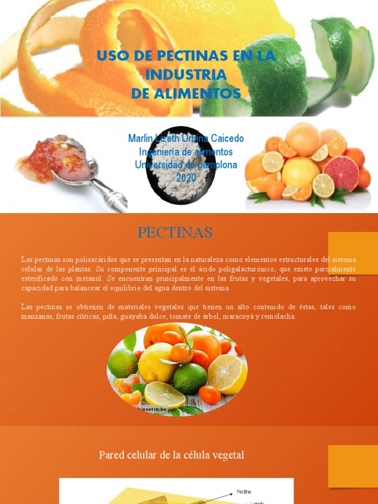 PECTINAS | PDF | Conservas de frutas | Alimentos